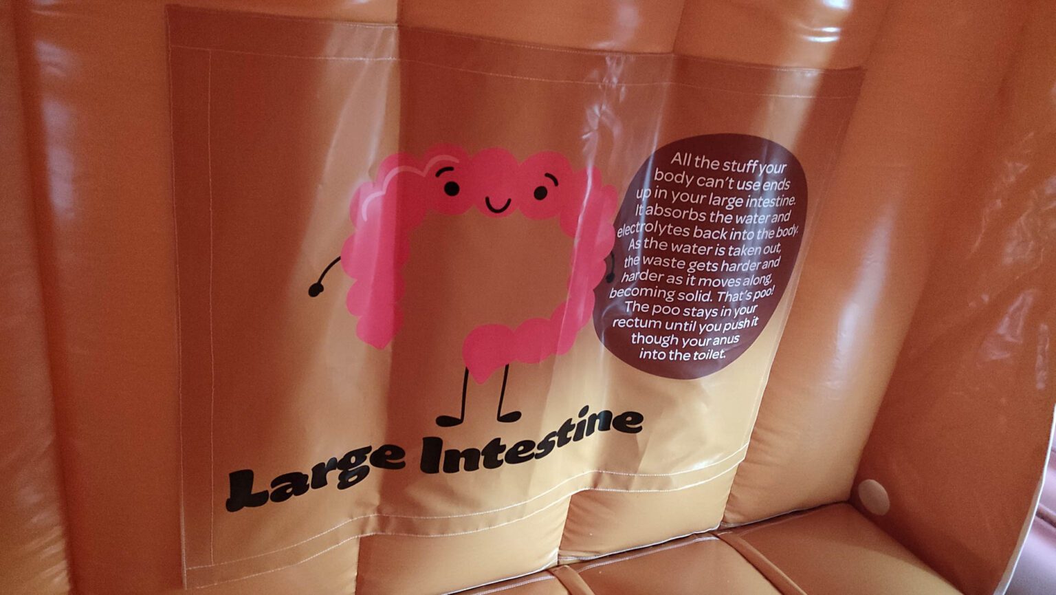 Inflatable Poo Palace provides awareness to digestive system.