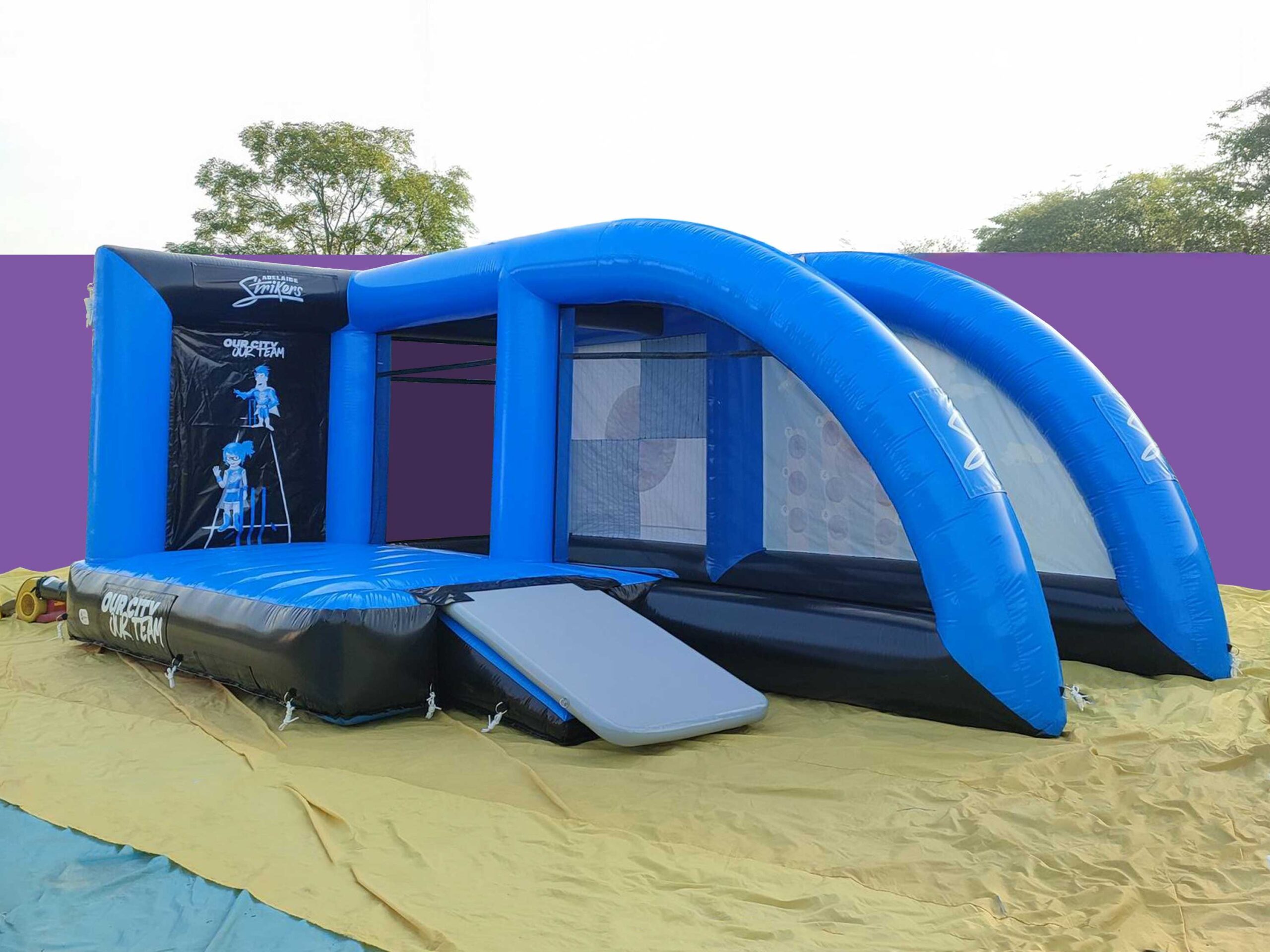 Inflatable Cricket Skill Zone